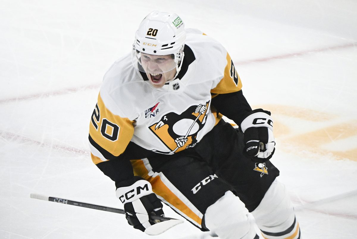 Eller scores 2 goals as Penguins beat Canadiens - Observer-Reporter
